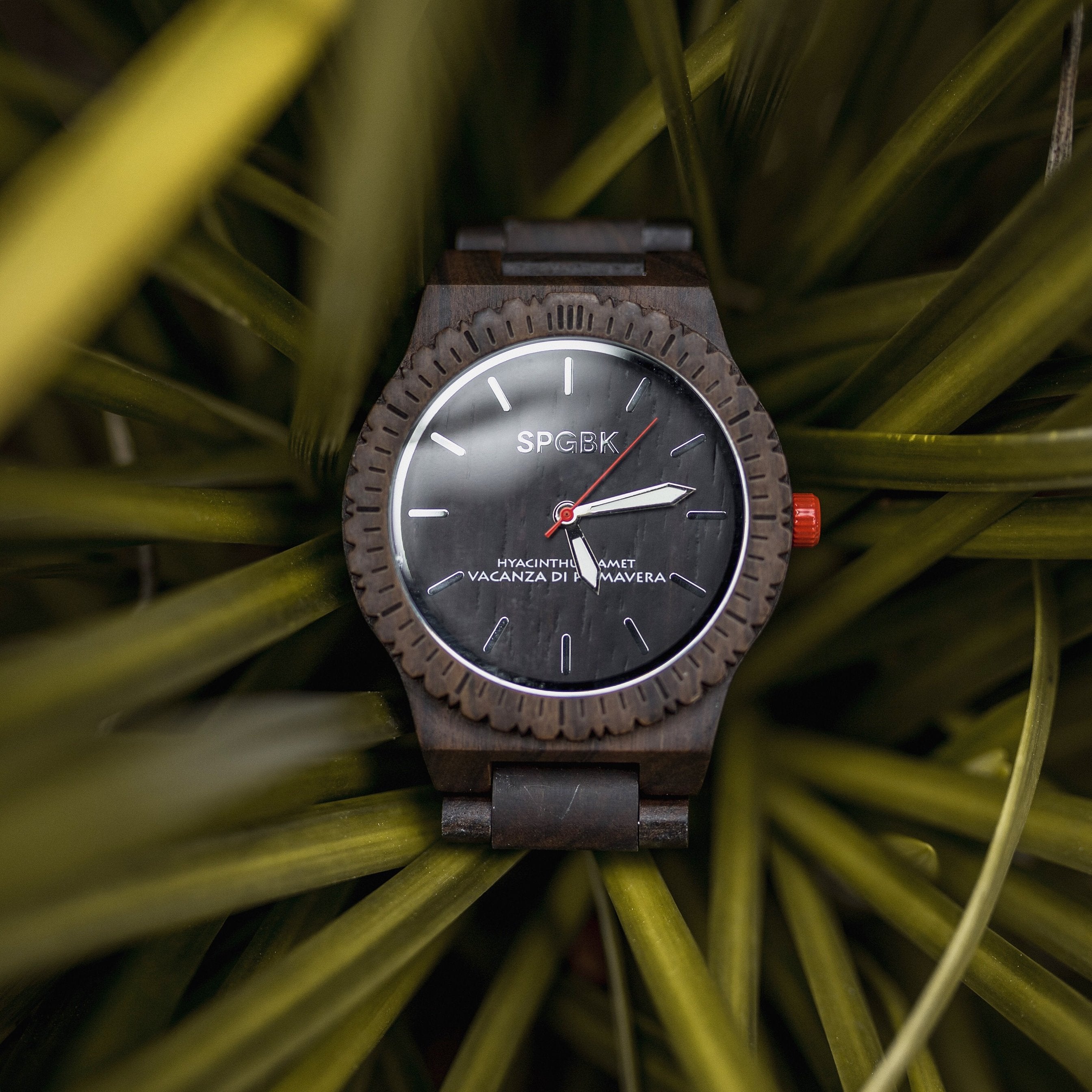 Wooden Watches – Springbreak Watches