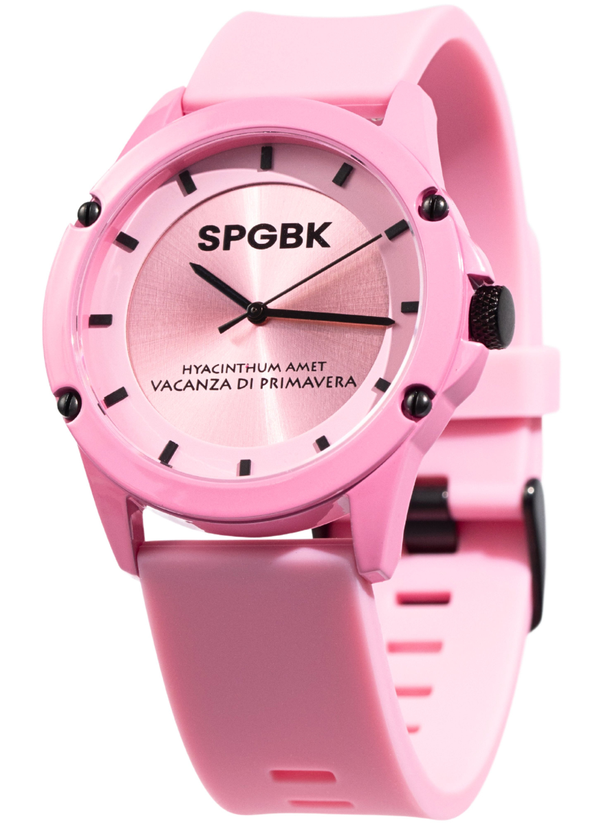 SPGBK Watches – Inspired by Education. Designed in NC. HBCU Made ...