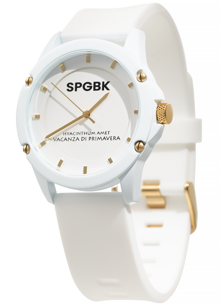 SPGBK Watches – Inspired by Education. Designed in NC. HBCU Made ...