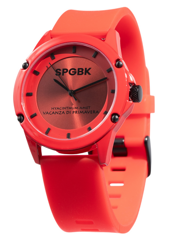 Shop Fall Collection – Springbreak Watches