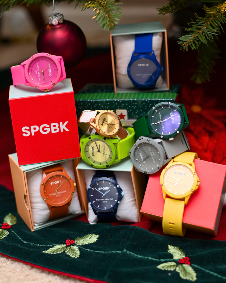 Our Story | SPGBK Watches – Springbreak Watches