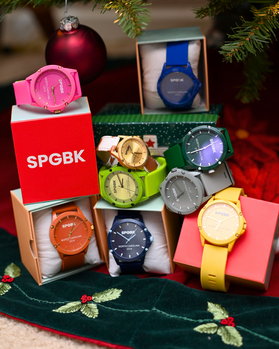Our Story | SPGBK Watches – Springbreak Watches