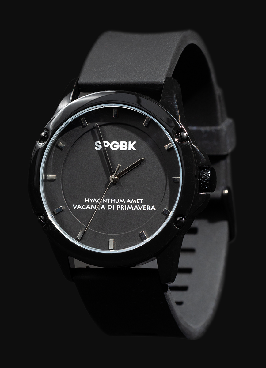 WATCHES – Springbreak Watches