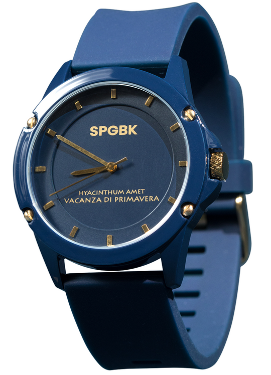 Shop Fall Collection – Springbreak Watches