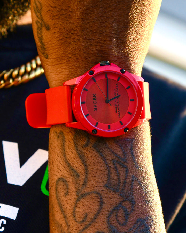 Shop Fall Collection – Springbreak Watches